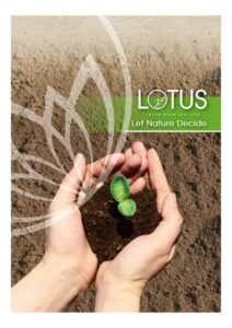 Lotus Pack catalogue_compressed